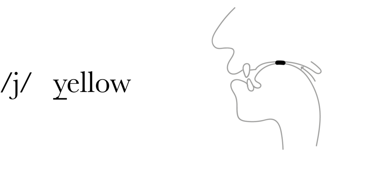 Approximants (38-41) - Pronunciation Studio