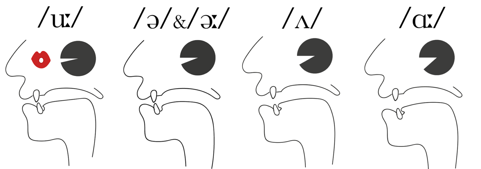 Monophthongs (1-13) - Pronunciation Studio