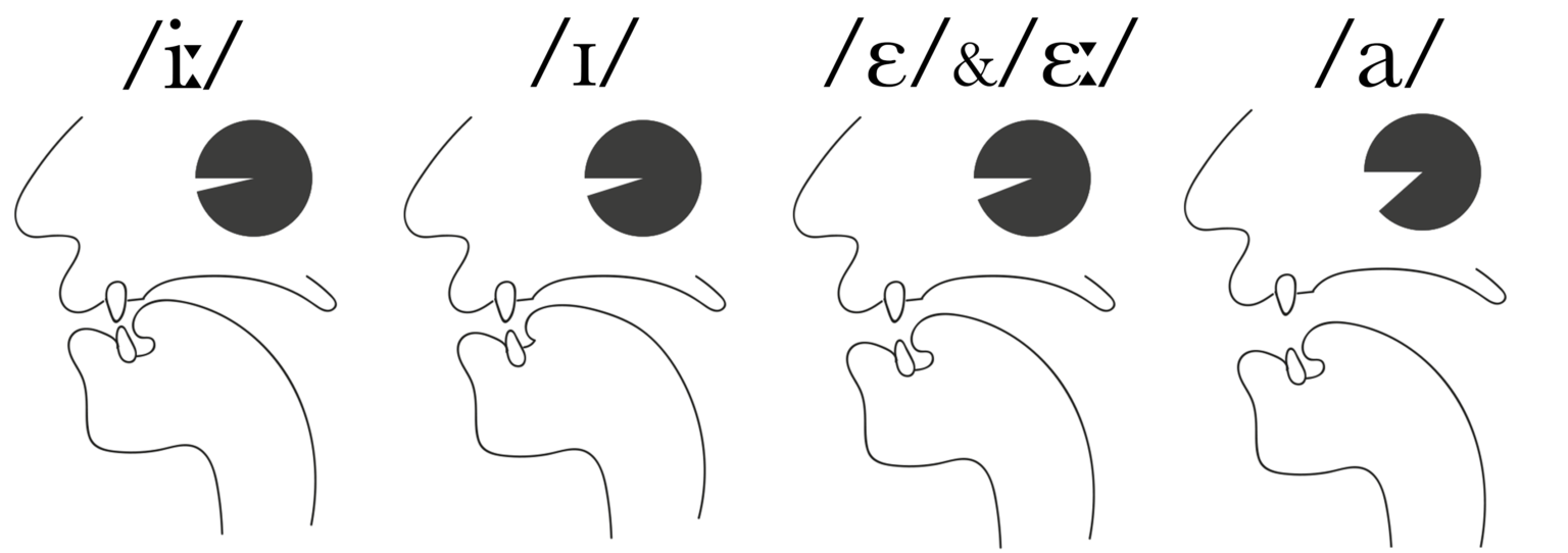 Monophthongs (1-13) - Pronunciation Studio