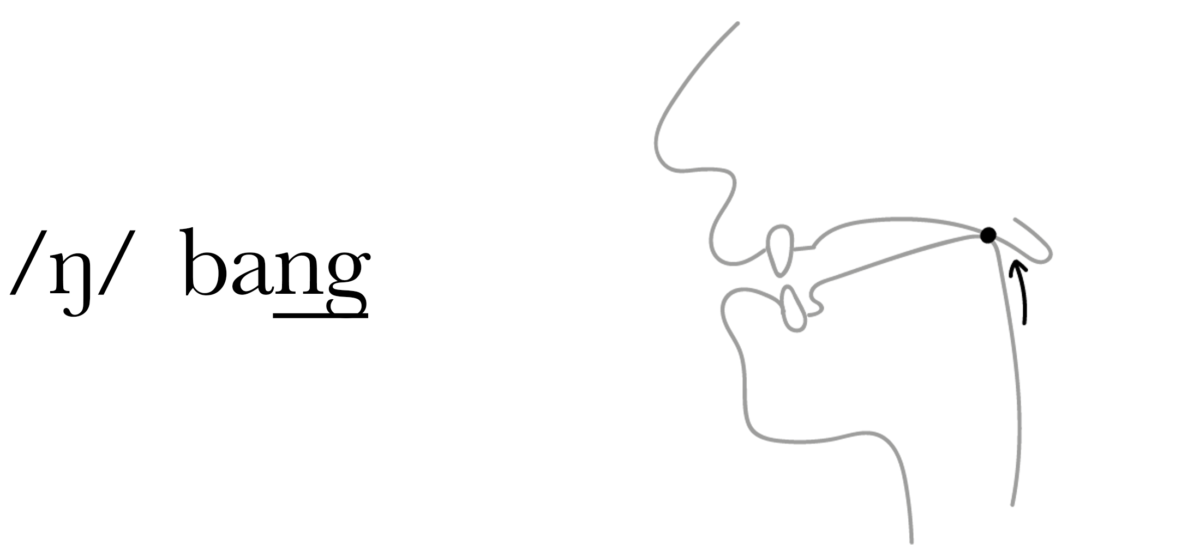 Nasals (42-44) - Pronunciation Studio