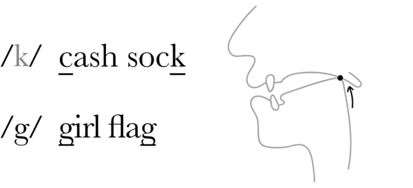 Plosives (30-35) - Pronunciation Studio