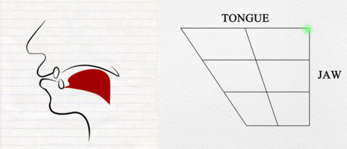 British English IPA Variations - Pronunciation Studio