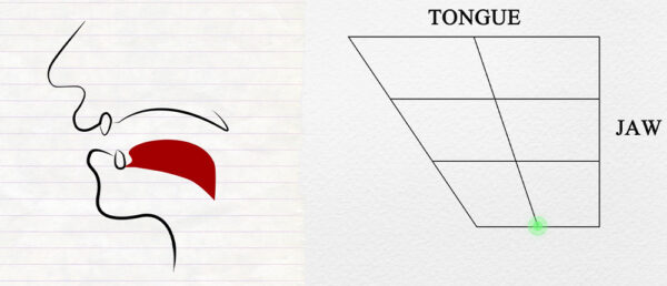 British English IPA Variations - Pronunciation Studio
