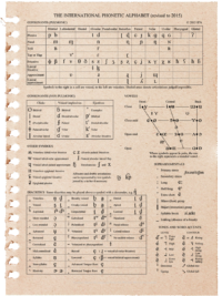Phonemic & Phonetic Transcriptions Compared