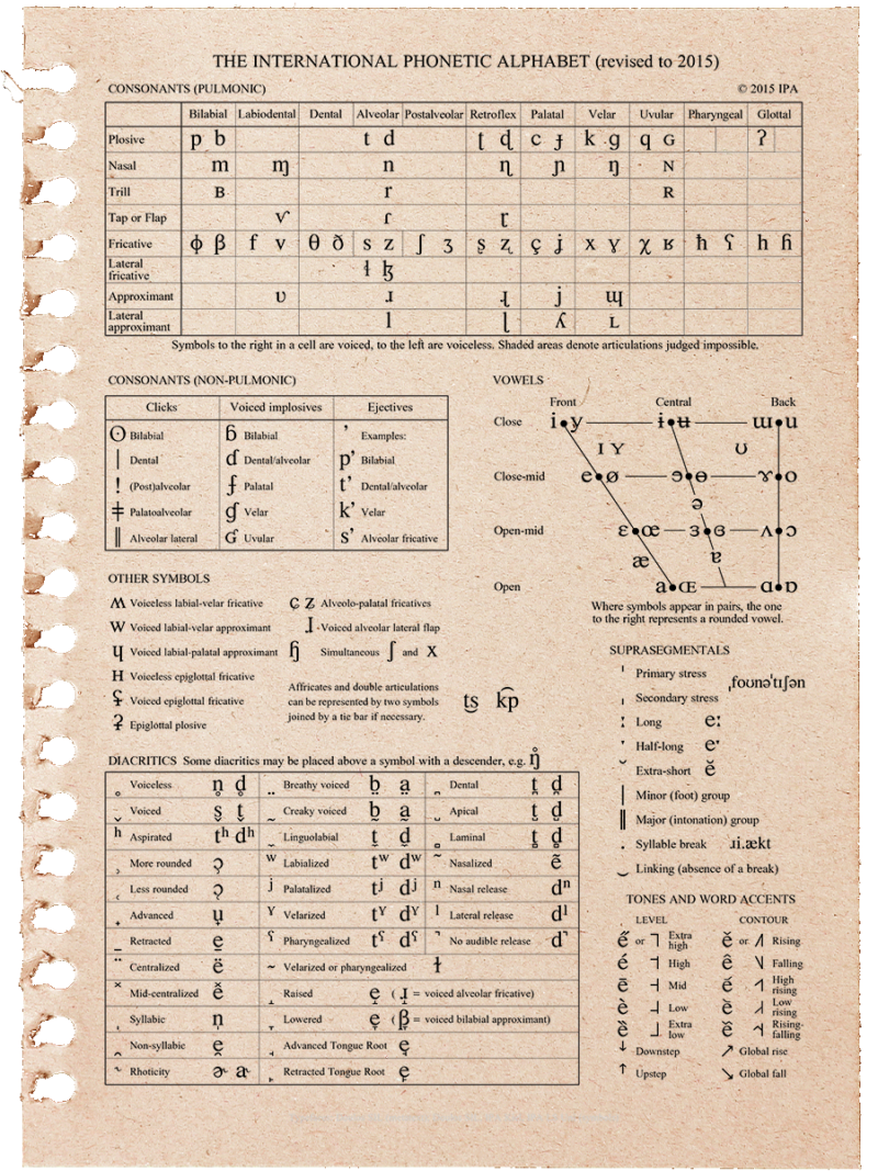 Phonemic & Phonetic Transcriptions Compared