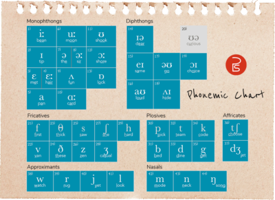 Phonemic & Phonetic Transcriptions Compared