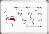 International Phonetic Alphabet - Learning Resources - Pronunciation Studio